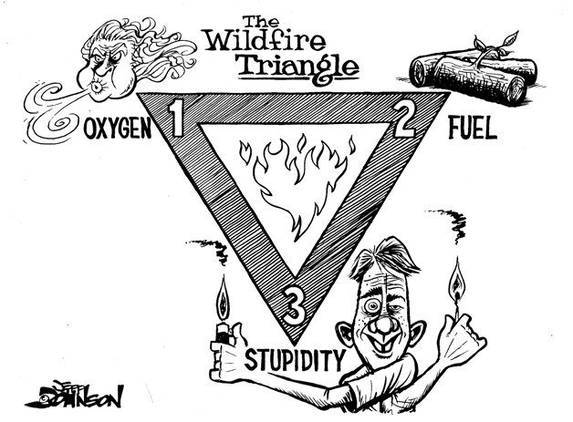 The Wildfire Triangle | Cartoon | Kirkland Reporter