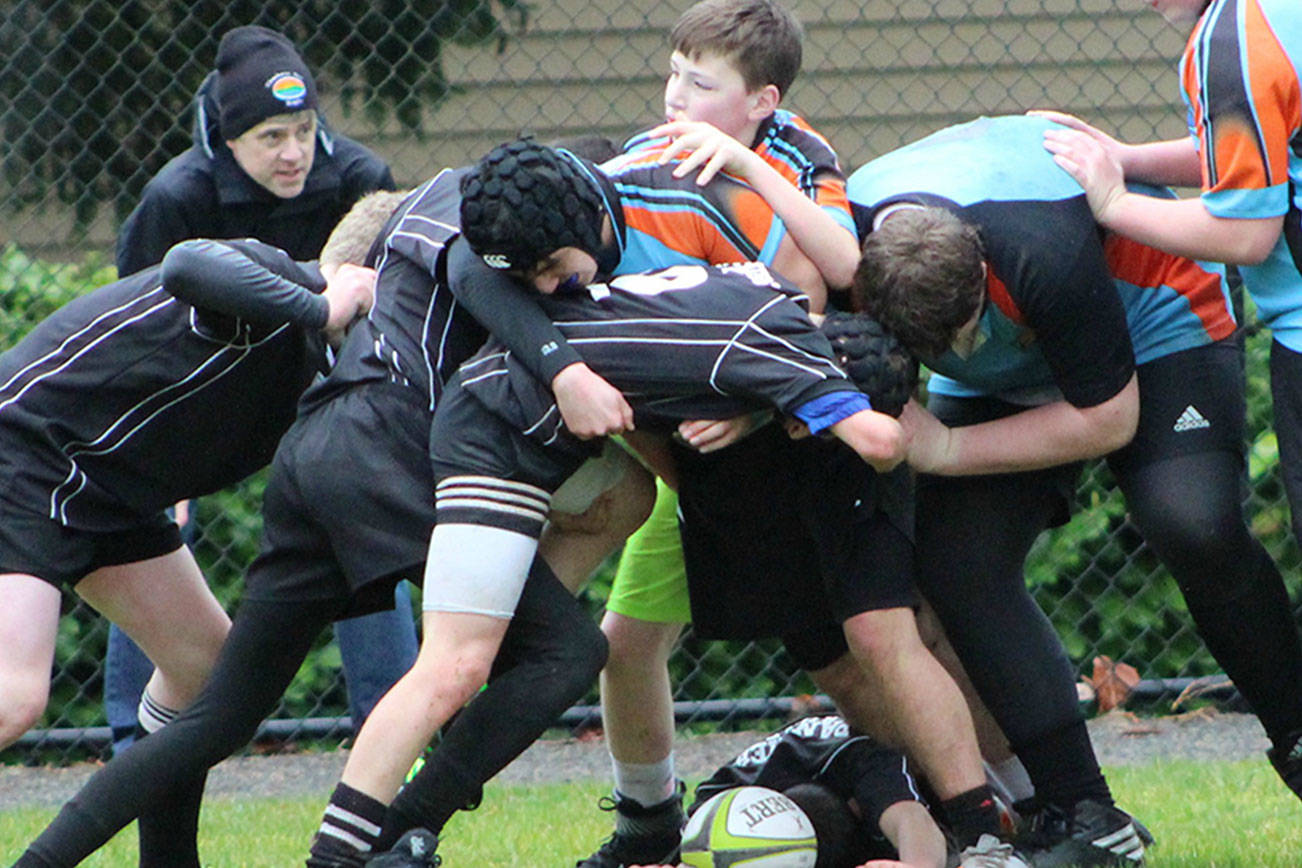 It’s a rugby time of year | Kirkland Reporter