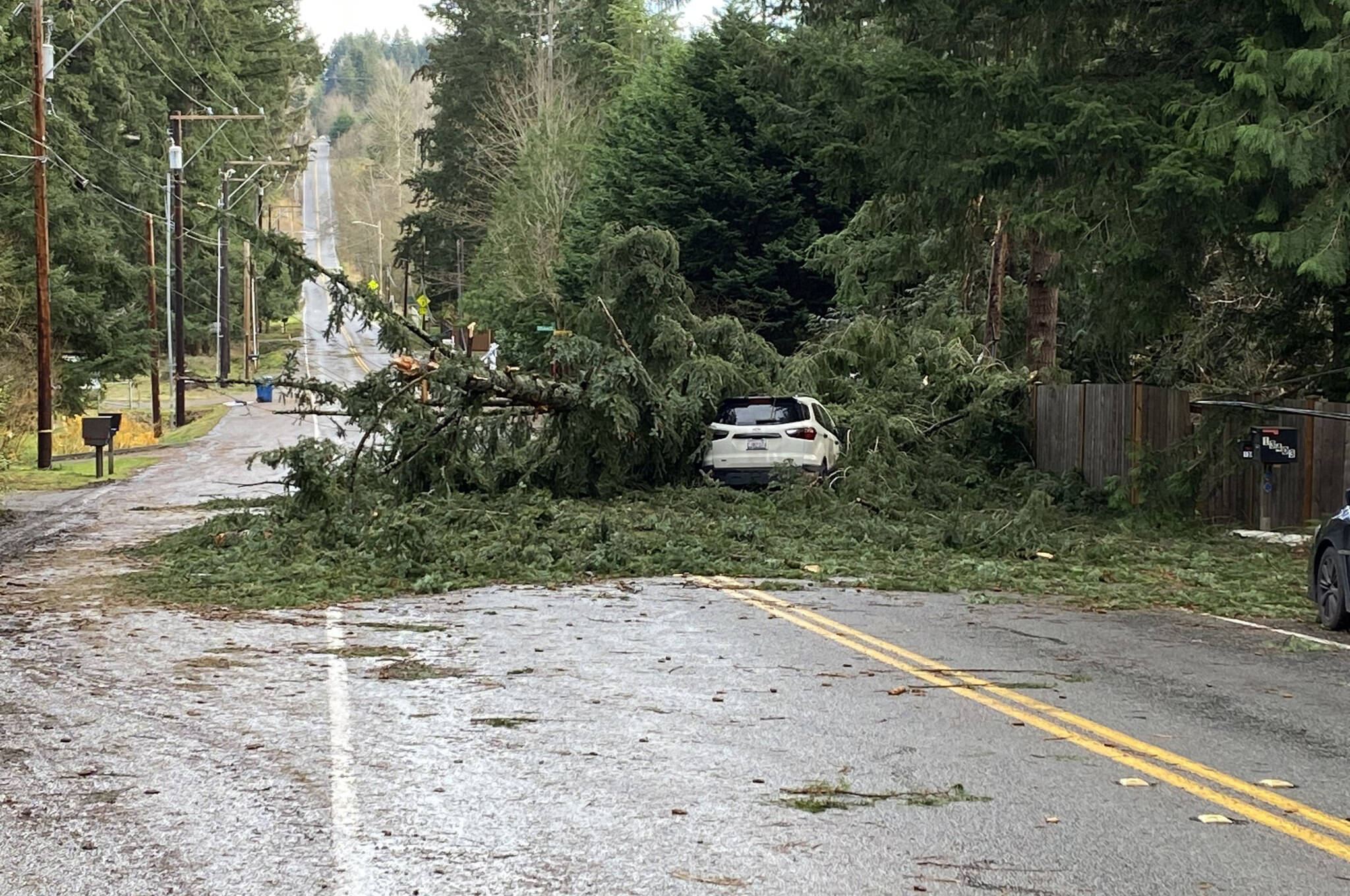 National Weather Service issues wind advisory for Puget Sound region ...